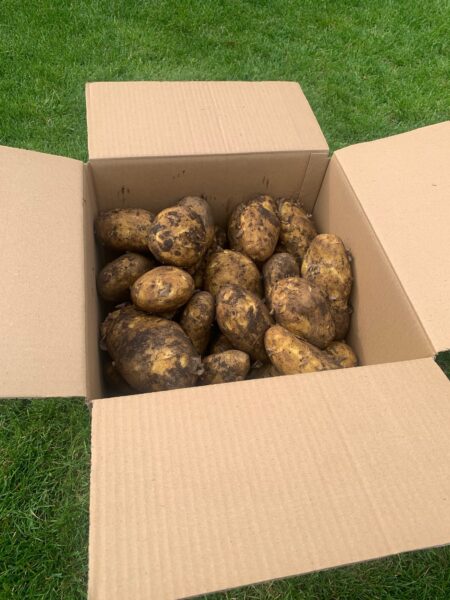 Home - The Potato Guys