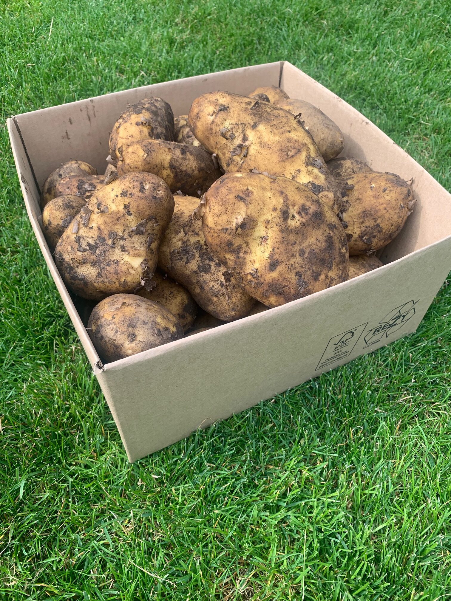 Home - The Potato Guys